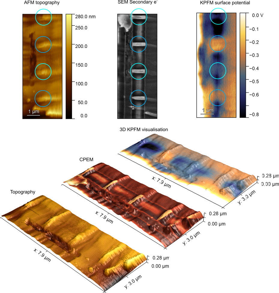 Defect Analysis Of A CMOS type Chip By AFM in SEM Defect Analysis Of A CMOS type Chip By AFM in SEM